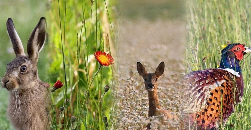 Our Location | Porton Science Park